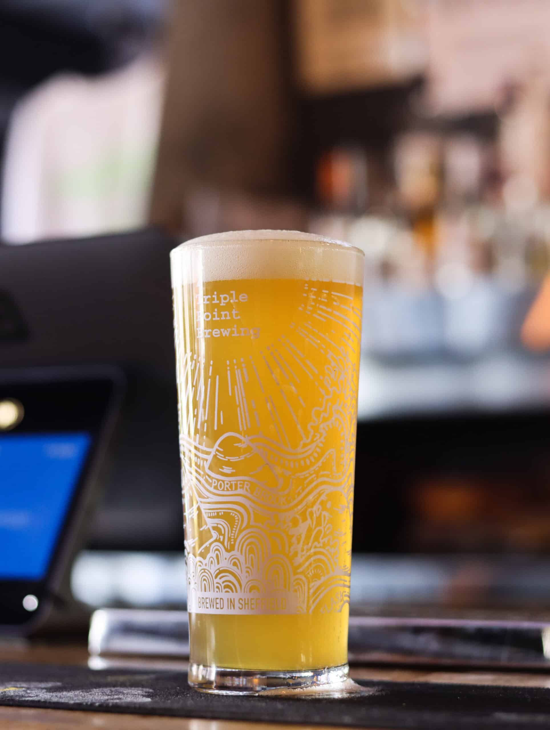 River and Hills Pint Glass - Triple Point Brewing
